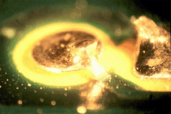 What Causes Pad Lifting On Printed Circuit Boards?